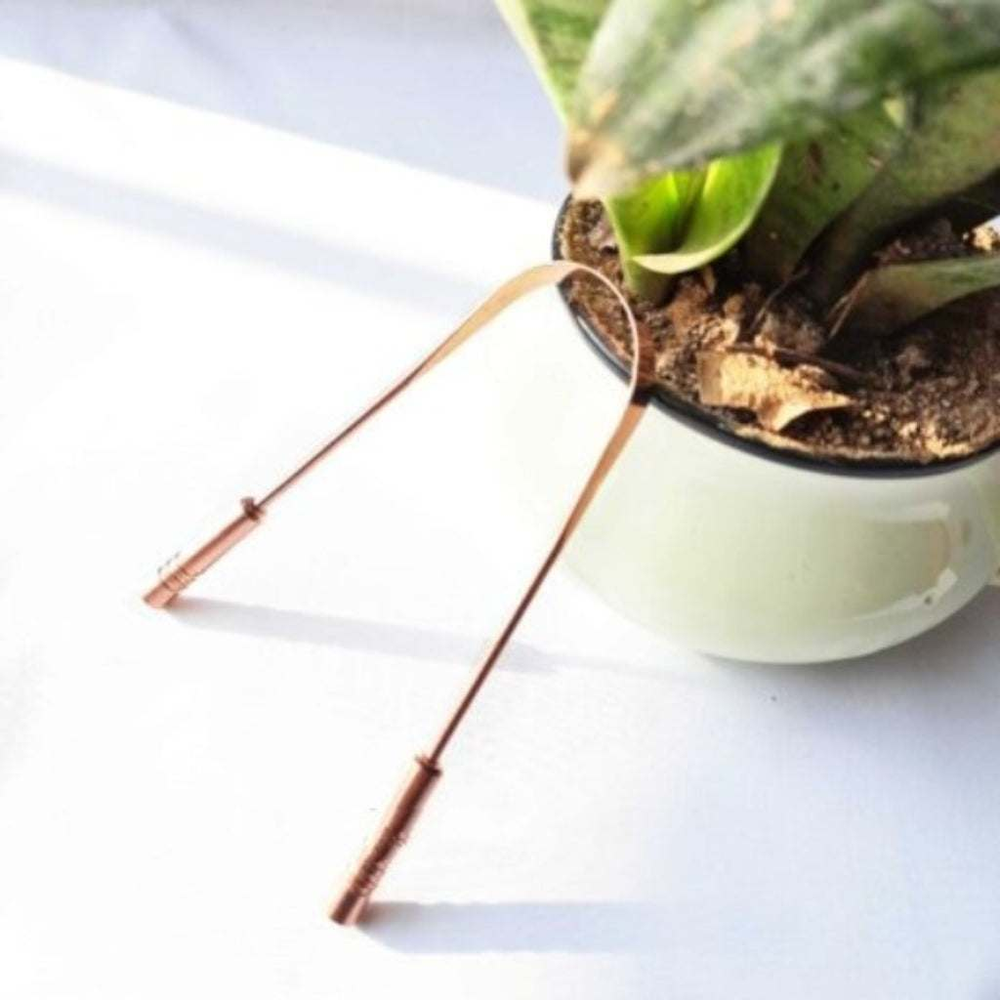 Collections – Gaurashtra