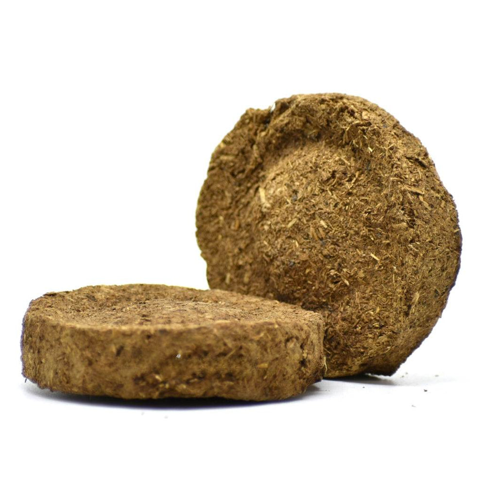 Cow Dung Cake Upla - Premium 20 Kanda for Daily Havan Rituals ...